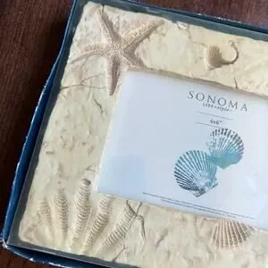 Sonoma | Accents | New 2 Sonoma Sea Shell Photo Frames Beach Boho ...